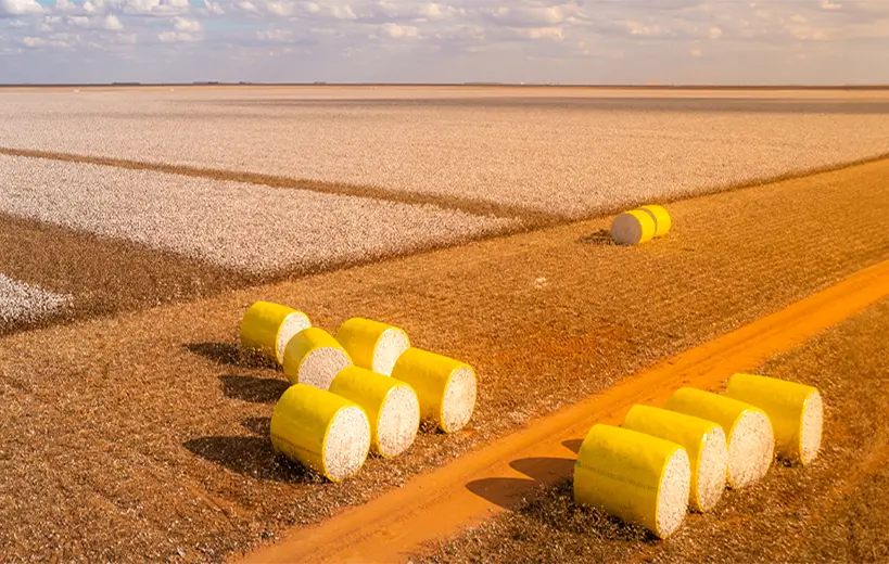 Discover the Excellence of TamaWrap® Yellow Premium Cotton Wrap | Tama USA