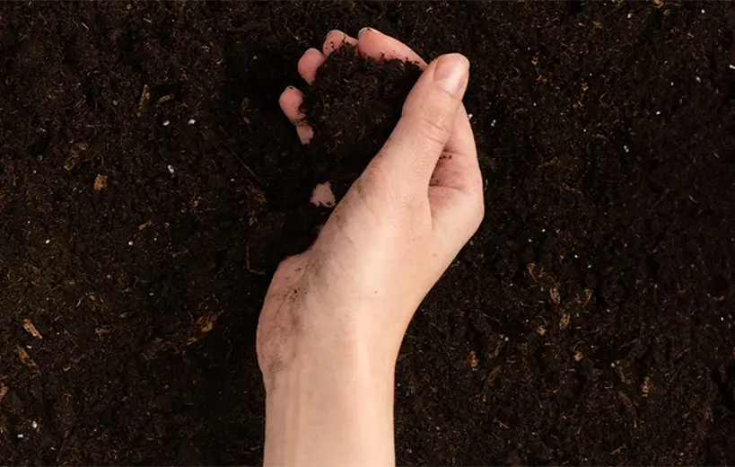 Soil Health: The Key to Successful Hay Farming | Tama USA